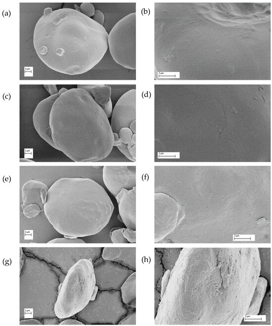 The Properties of Damaged Starch Granules: The Relationship Between ...