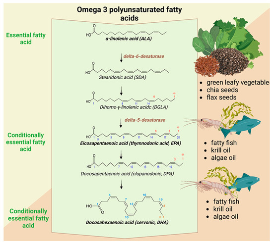 Polyunsaturated Fatty Acids and Human Health: A Key to Modern ...