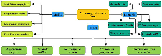 Microbial Fermentation in Food and Beverage Industries: Innovations ...