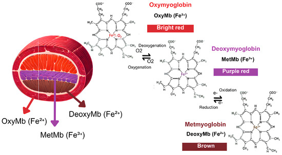 Enhancing Beef Hamburger Quality: A Comprehensive Review of Quality ...