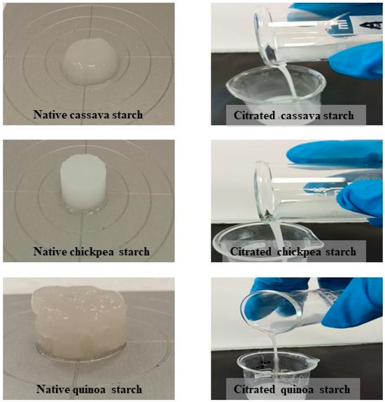 Green Starch Modification Using Citric Acid: Quinoa, Chickpea, and ...