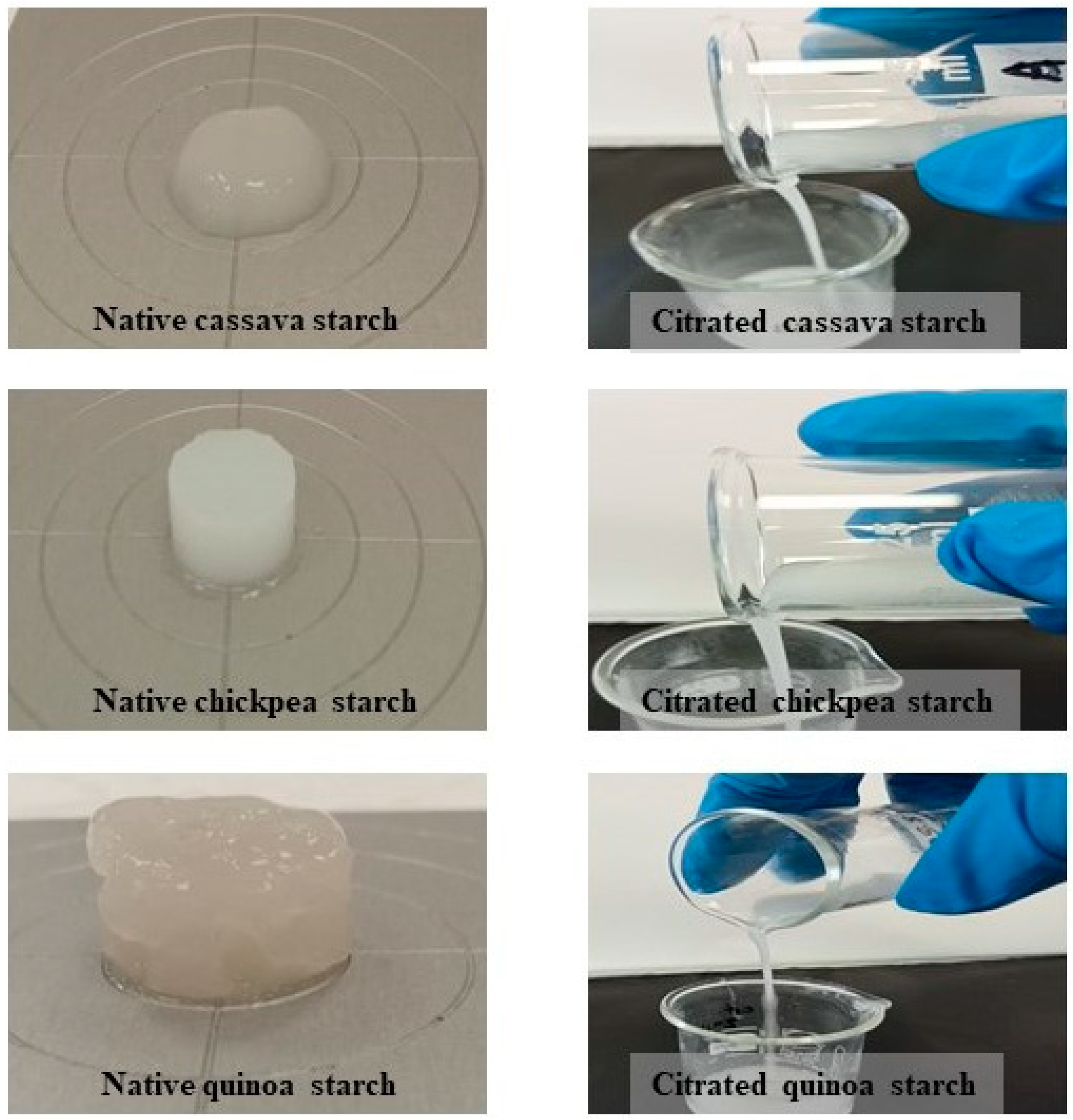 Green Starch Modification Using Citric Acid: Quinoa, Chickpea, and ...