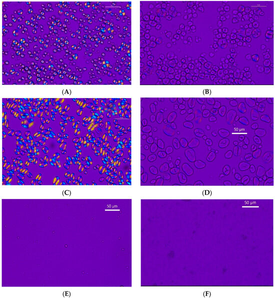 Green Starch Modification Using Citric Acid: Quinoa, Chickpea, and ...