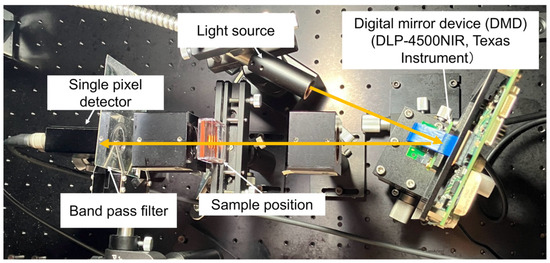 The Detection of Pest Contaminants in Chocolate Using Visible-Near ...