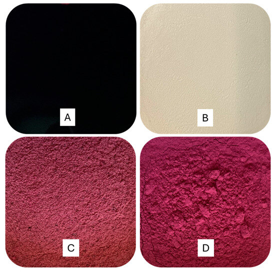 Betalain–Chickpea Protein Particles Produced by Freeze Drying and Spray ...