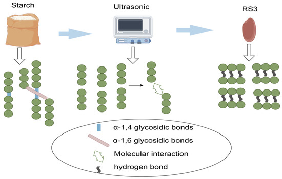 Nutrition and Gut Health: Preparation and Efficacy of Resistant Starch
