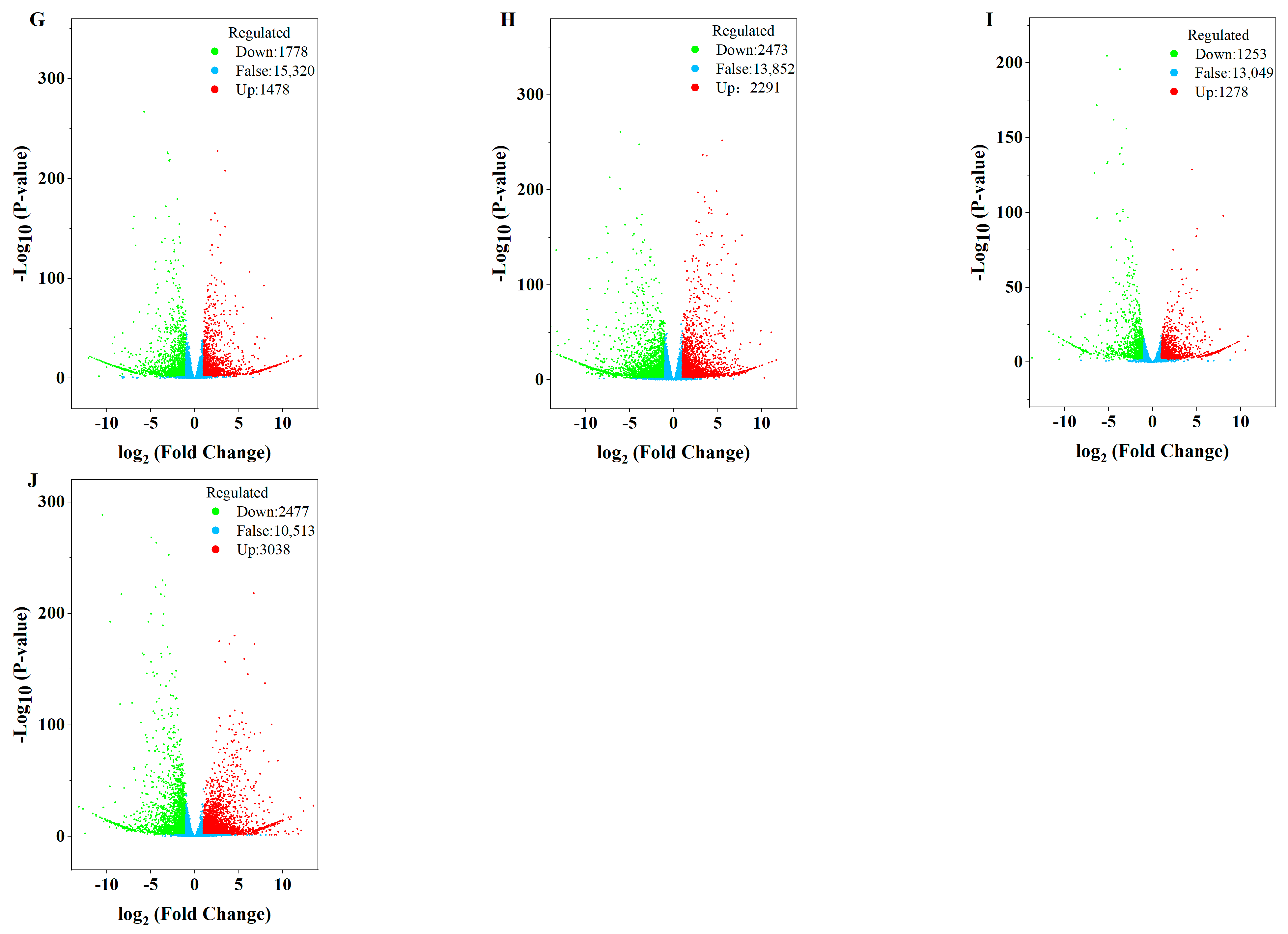 Selection of Key Genes for Apricot Kernel Oil Synthesis Based on Transcriptome Analysis