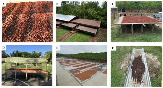 Unravelling Cocoa Drying Technology: A Comprehensive Review of the ...
