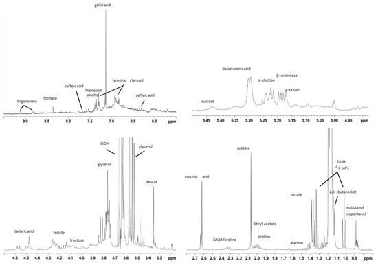 Isopentanol Nmr Fisher Esterification Synthesis Of Isopentyl Acetate