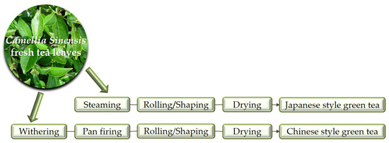 Green Tea: Current Knowledge and Issues