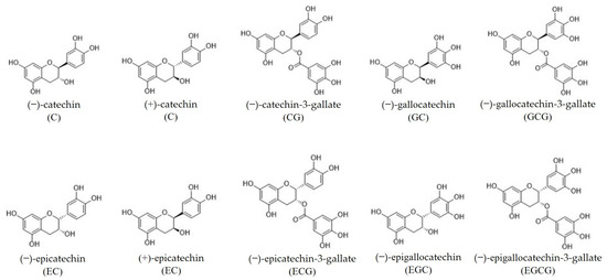 Green Tea: Current Knowledge and Issues