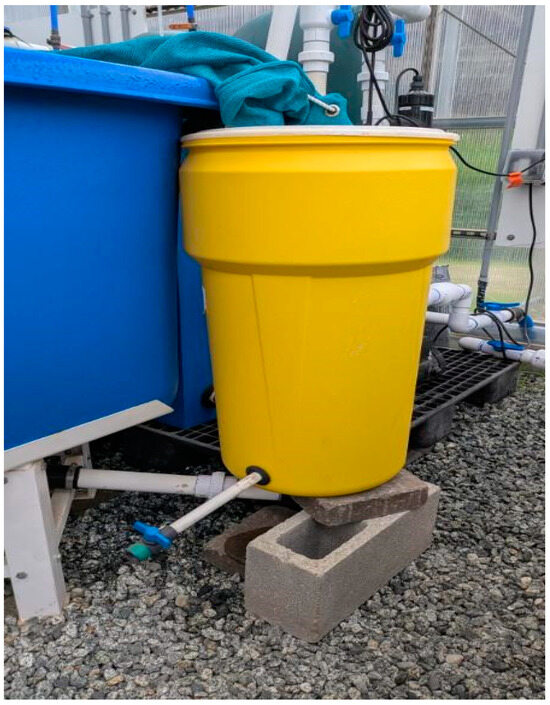 Towards Sustainable Aquafeeds: Microalgal (Nannochloropsis sp. QH25) Co ...