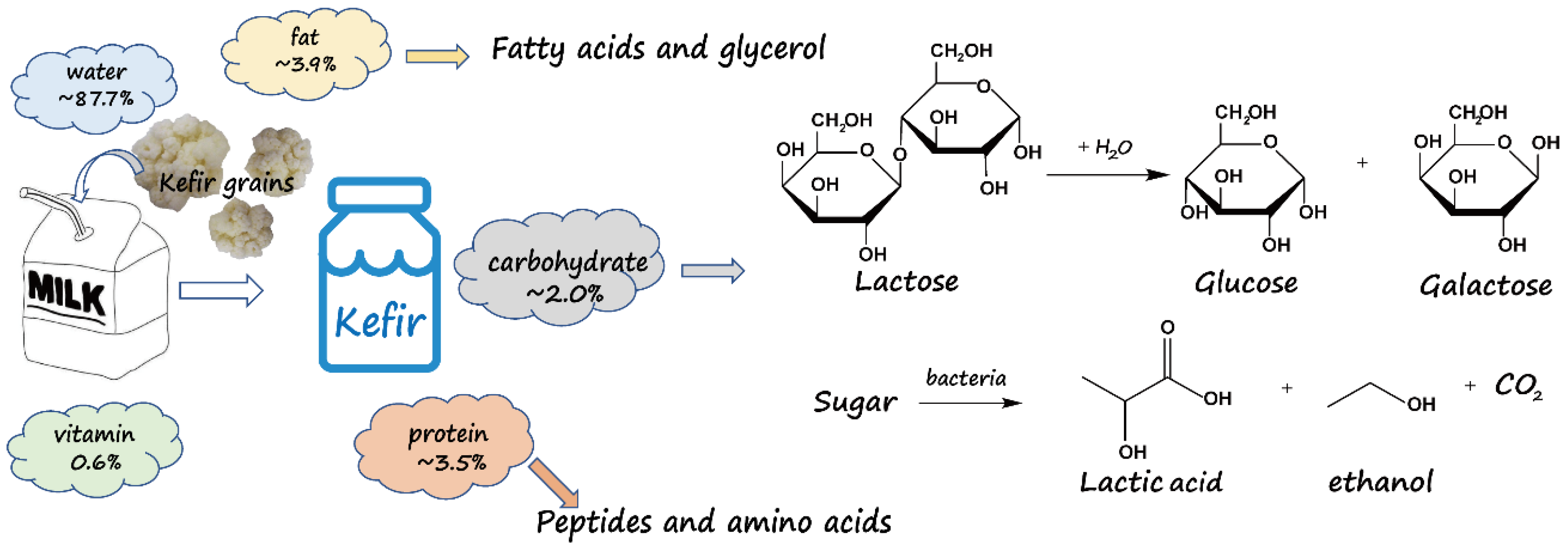 In Situ Monitoring of Kefir Fermentation Process Using Signal-Separable ...