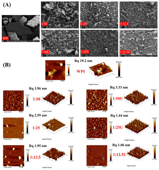 Rapid Covalent Bonding of Walnut Protein Isolates to EGCG: Unveiling ...