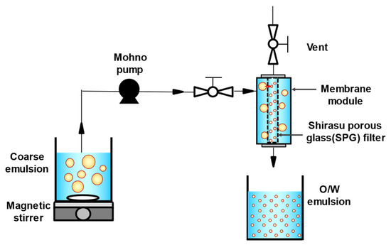 The Influence of Droplet Size and Emulsifiers on the In Vitro Digestive ...