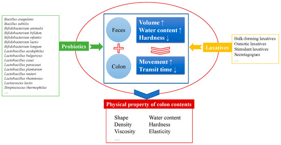 New Insights into a Conceptual Bionic Colonic Bioreactor: A Model ...