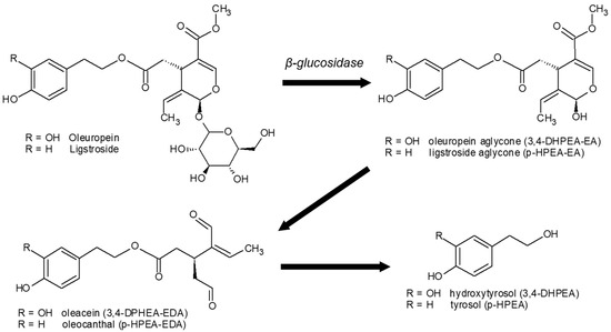 Increasing the Bioactive Compound Content of Olive Oil by Acidification ...