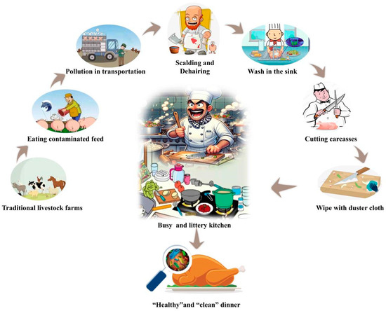 Significance of Whole-Genome Sequencing for the Traceability of ...
