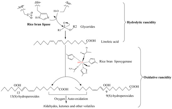 Non-Thermal Stabilization Strategies for Rice Bran Non-Thermal Stabilization Strategies for Rice Bran