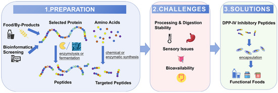 Preparation and Encapsulation of DPP-IV Inhibitory Peptides: Challenges ...