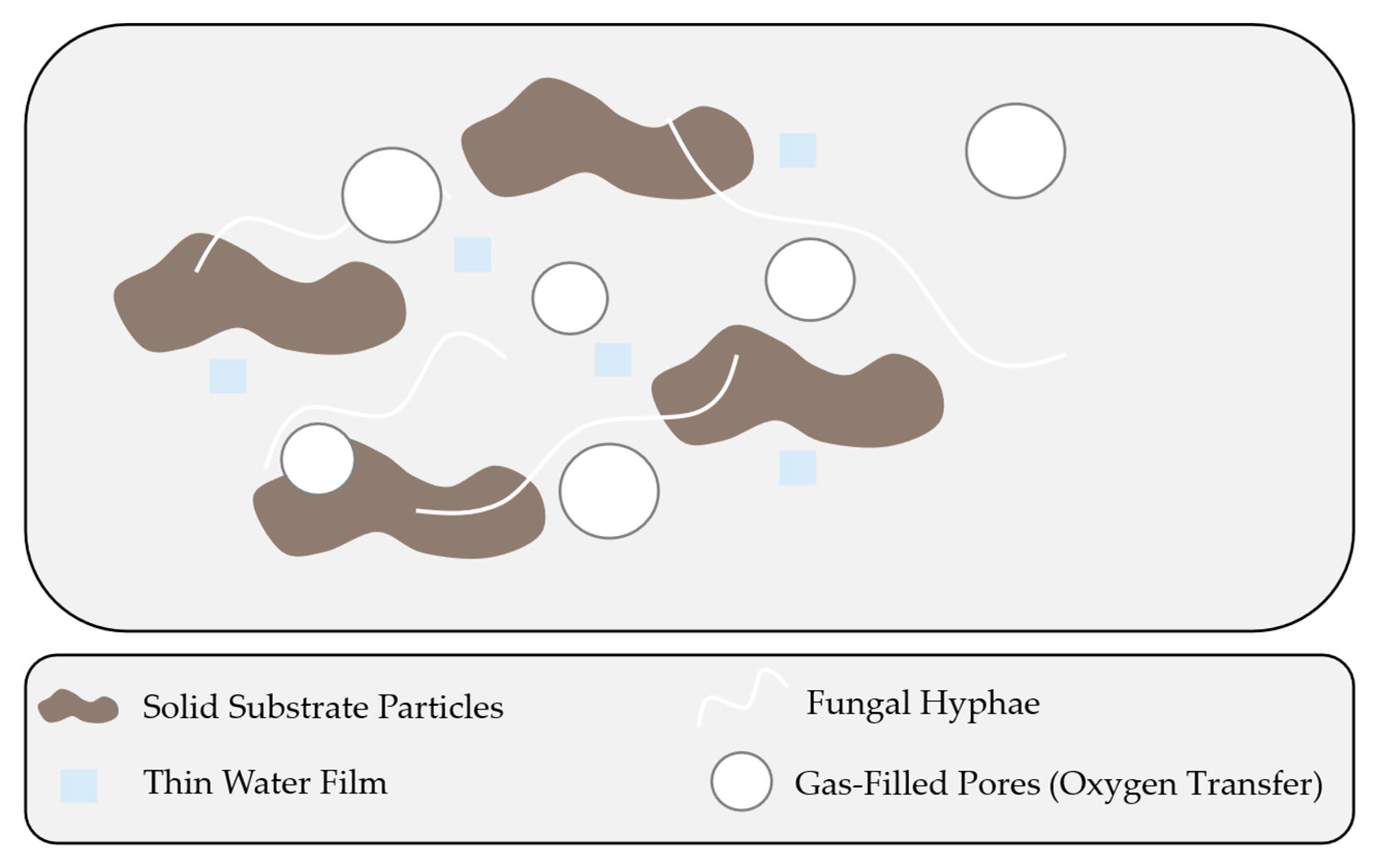 Solid State Fermentation—A Promising Approach to Produce Meat Analogues