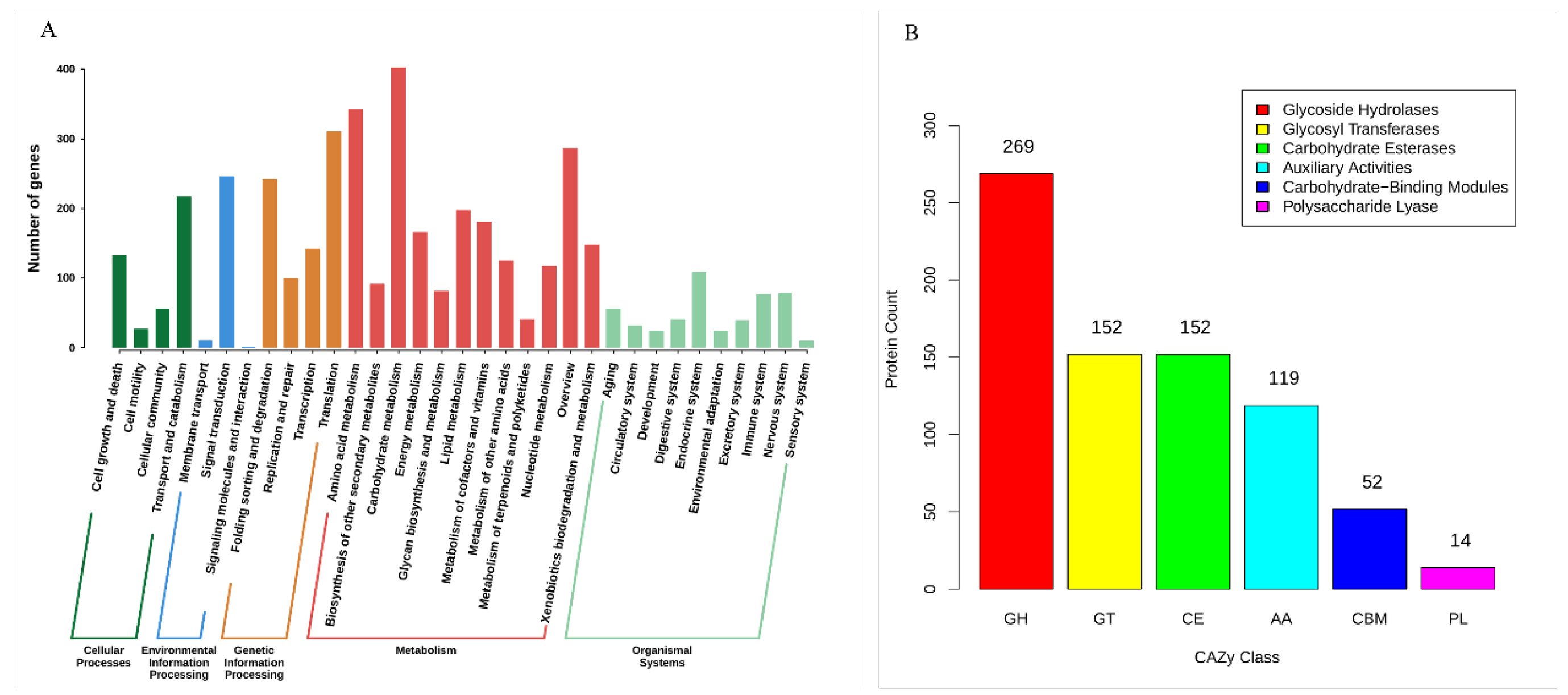 Functional Characterization of PeMep Gene Reveals Its Roles in the ...
