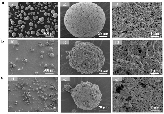 A Chitosan-Binding Protein Mediated the Affinity Immobilization of ...