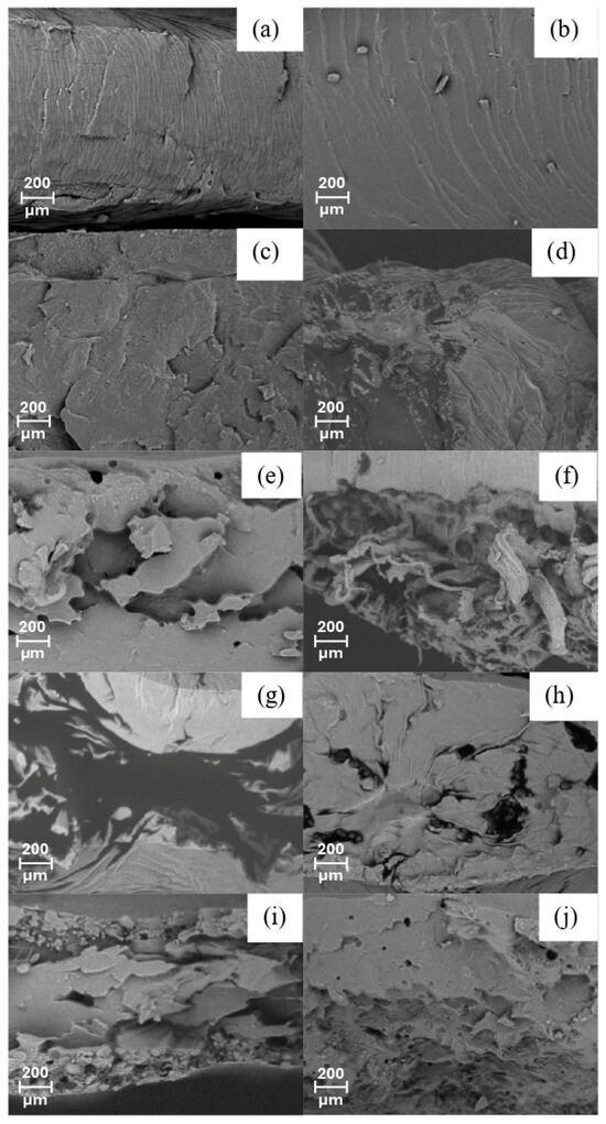 Characterization of Coffee Waste-Based Biopolymer Composite Blends for ...