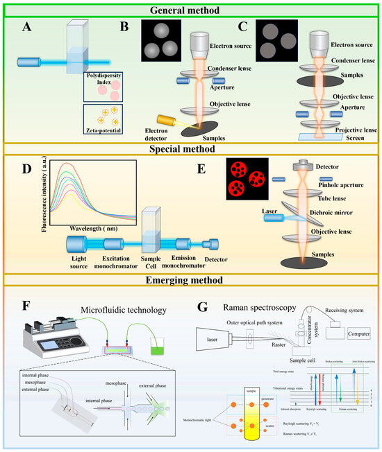 Strategic Approaches for Co-Encapsulation of Bioactive Compounds ...