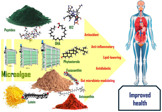 Microalgae Bioactives for Functional Food Innovation and Health Promotion