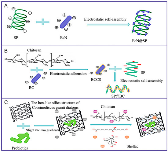 Enteric Delivery of Probiotics: Challenges, Techniques, and Activity Assays