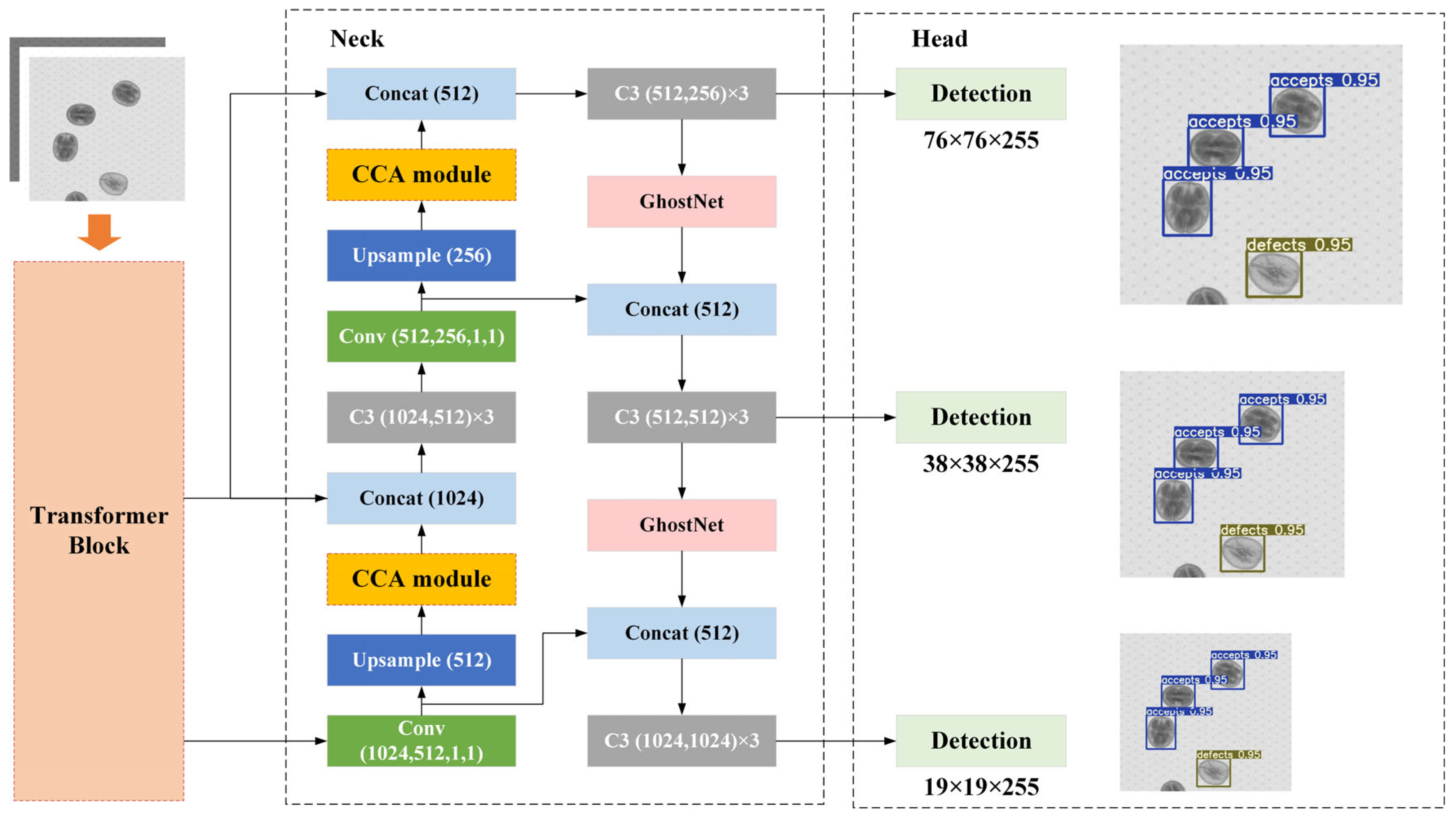 Nondestructive Detection and Quality Grading System of Walnut Using X-Ray Imaging and ...