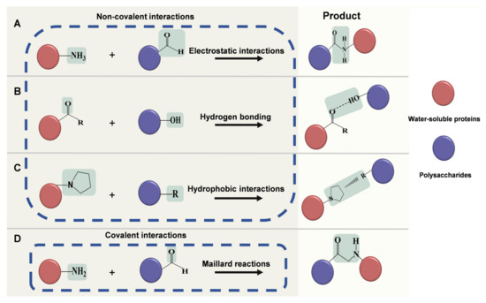 Complexation Strategies for Enhancing Water-Soluble Protein Stability ...