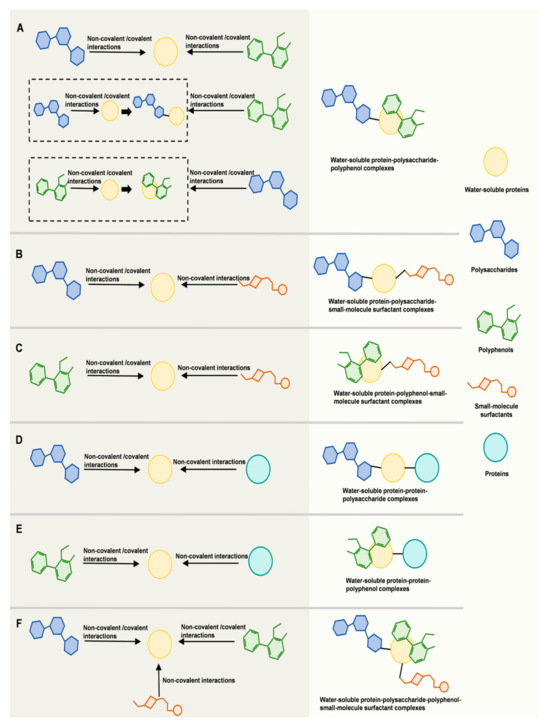 Complexation Strategies for Enhancing Water-Soluble Protein Stability ...
