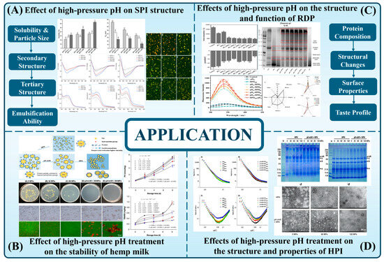 Physical Processing-Assisted pH Shifting for Food Protein Modification: A Comprehensive Review