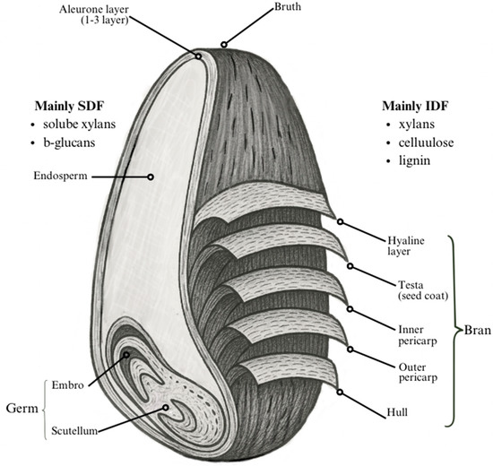 Physicochemical and Functional Properties of Soluble and Insoluble ...