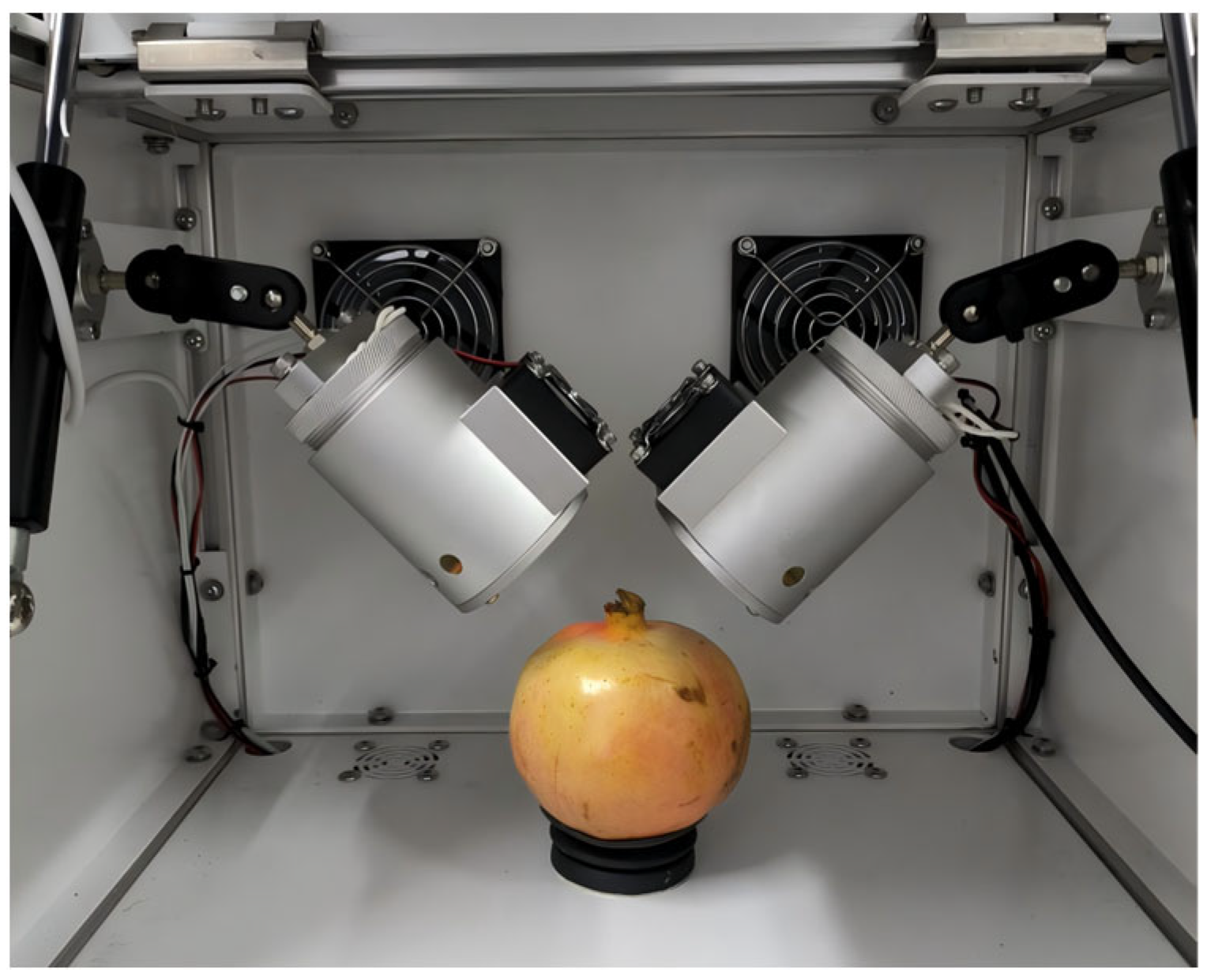 Non-Destructive Detection of Pomegranate Blackheart Disease via Near ...