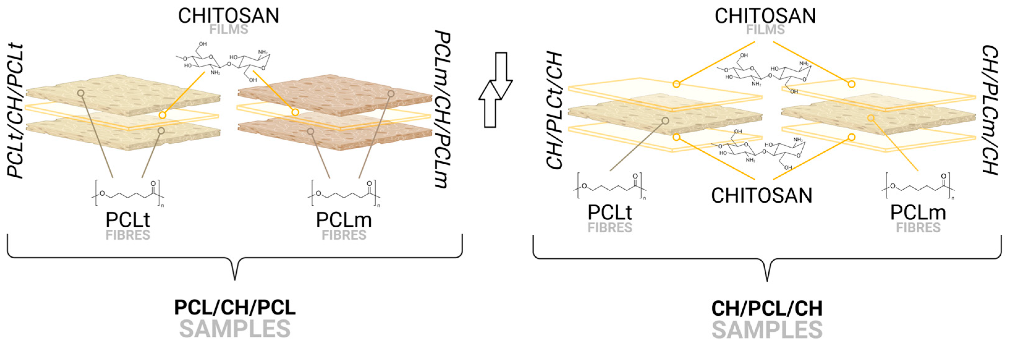 Innovative Multilayer Biodegradable Films of Chitosan and PCL Fibers ...