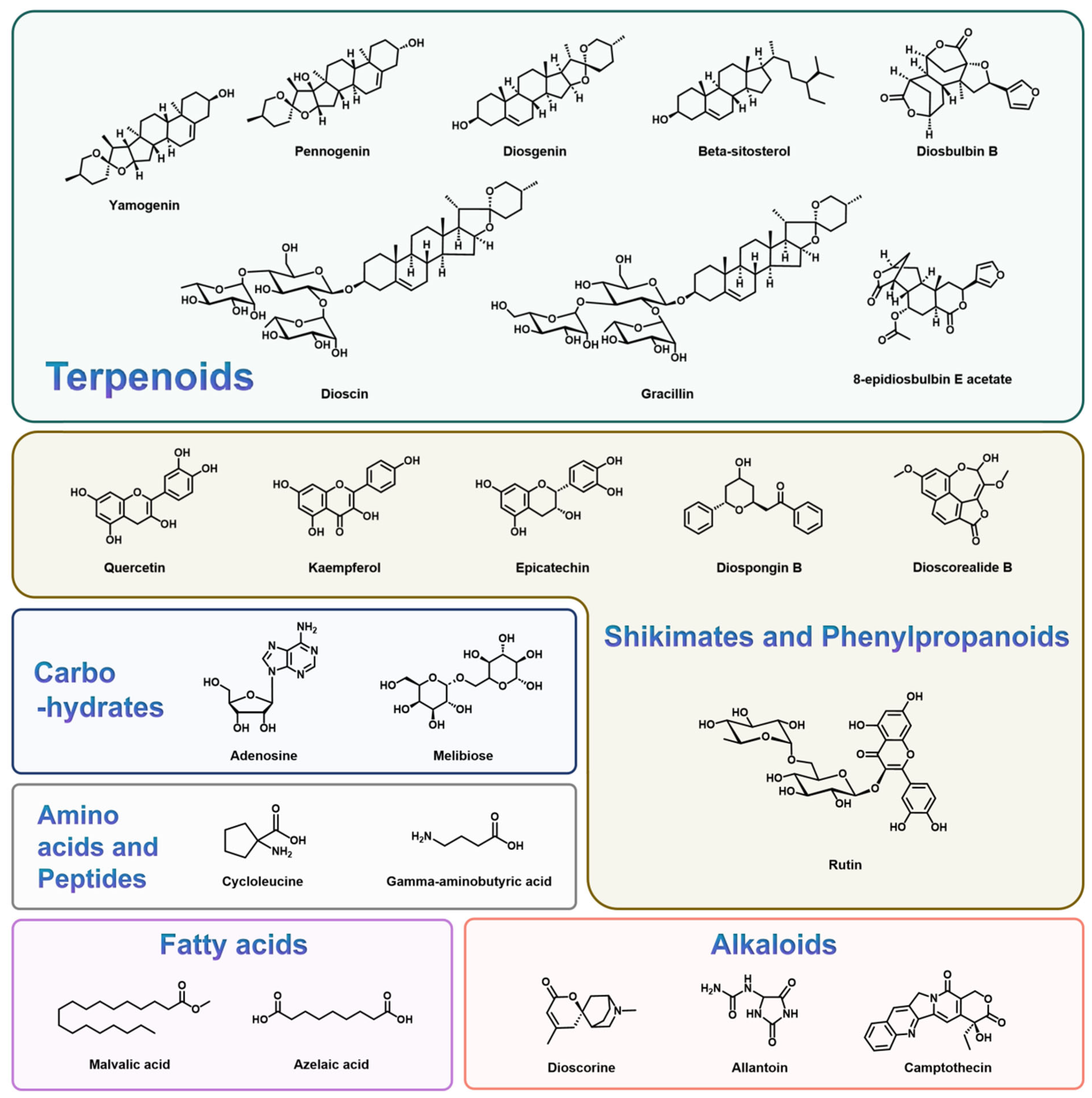 Bioactive Metabolites of Dioscorea Species and Their Potential ...