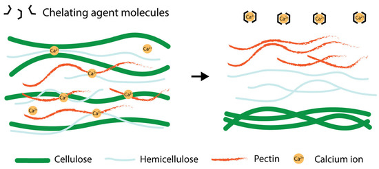 Alternative Solvents for Pectin Extraction: Effects of Extraction ...
