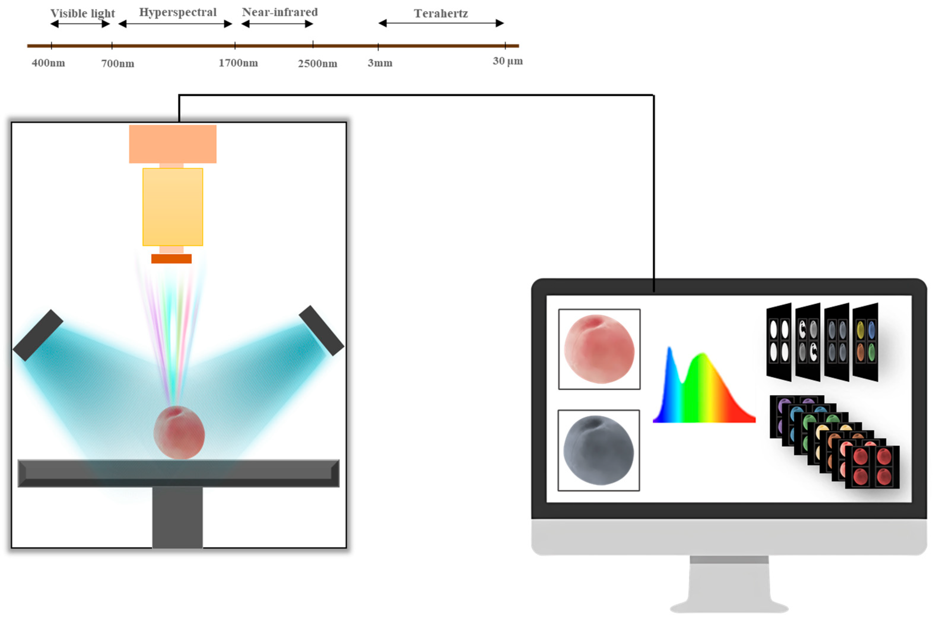 Spectroscopic and Imaging Technologies Combined with Machine Learning ...