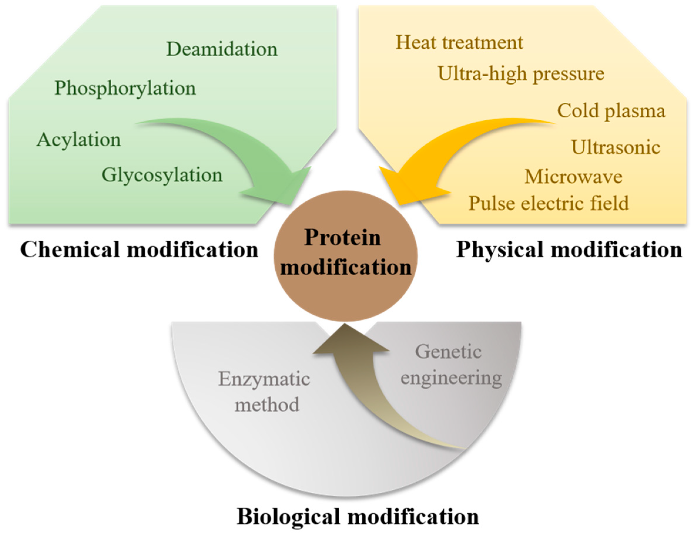 Recent Advances, Challenges, and Functional Applications of Protein ...