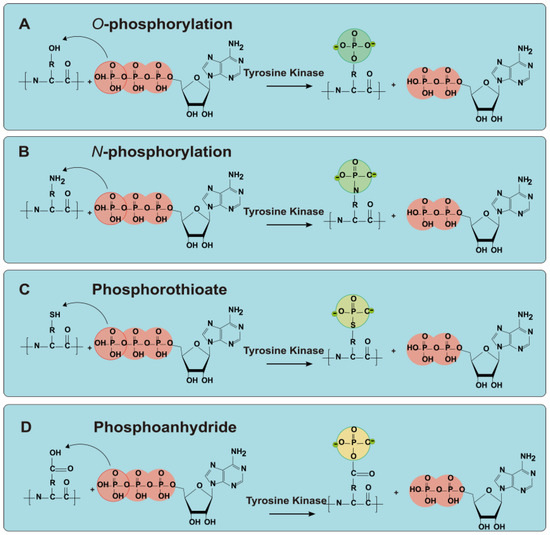 Recent Advances, Challenges, and Functional Applications of Protein ...