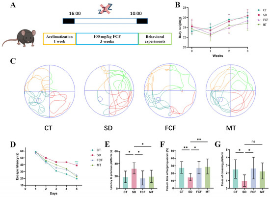 Flavonoids from Ficus pandurate var. angustifolia W.C. Cheng Restore ...