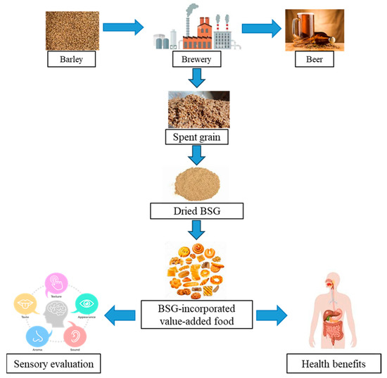 Nutritional Value of Brewer’s Spent Grain and Consumer Acceptance of ...