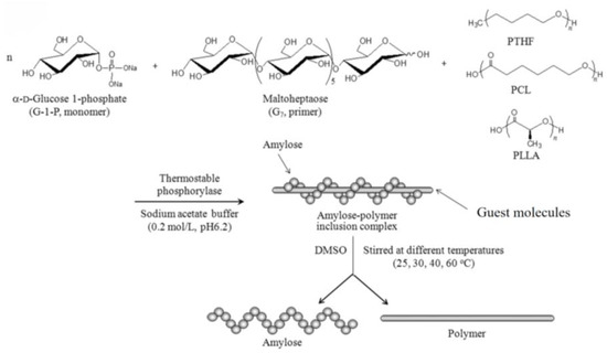Mechanisms, Functions, Research Methods and Applications of Starch ...