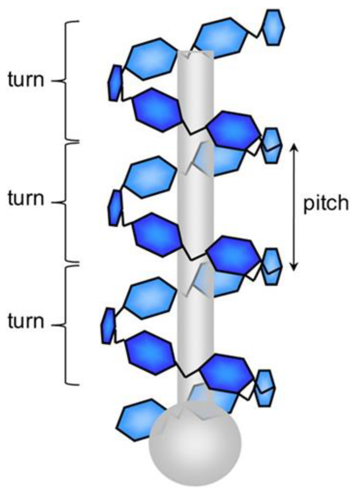 Mechanisms, Functions, Research Methods and Applications of Starch ...