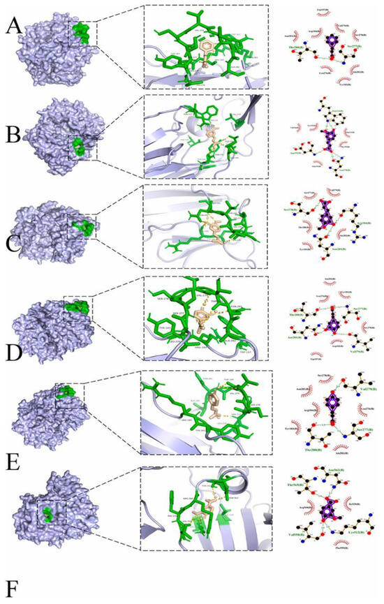 Mechanisms, Functions, Research Methods and Applications of Starch ...