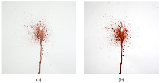 Forensic Sciences | An Open Access Journal from MDPI