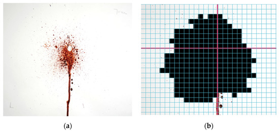 Defining Patterns and Behaviours of Forward Spatter Gunshot Misting